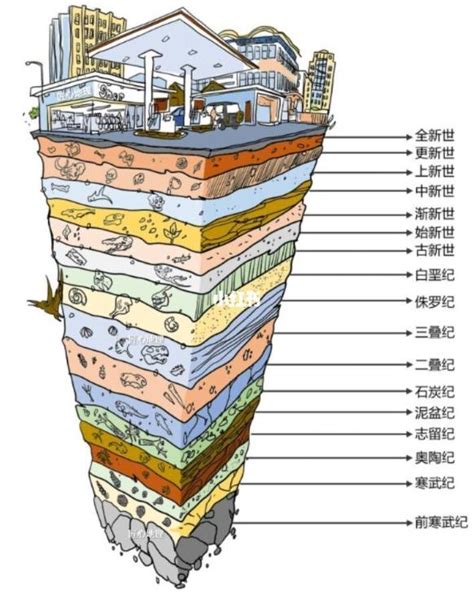 你了解地球经历过哪些地质年代吗？ 每日头条