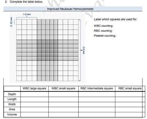 Manual Cells Counting With Hemocytometer Improved Neubauer 46 Off
