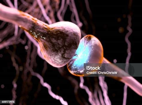 냅 두뇌에 신호입니다 신경 세포 전기 화학 신호를 보내는 3 차원 일러스트 레이 션 3d 렌더에 대한 스톡 사진 및 기타 이미지 3d 렌더 남아프리카공화국 뇌
