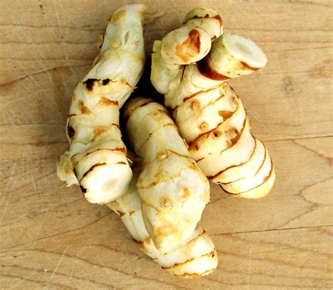 Galangal Herbal Usage | Health Food Nutrition
