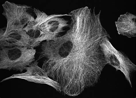 Photons To Pixels Illuminating Bit Depth Bliq Photonics