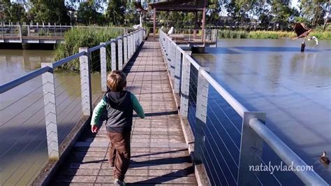 Австралия Жилые районы Парк с детской площадкой Youtube