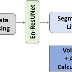 Proposed Scheme For Liver And Lesion Segmentation As Well As Volumetry Download Scientific