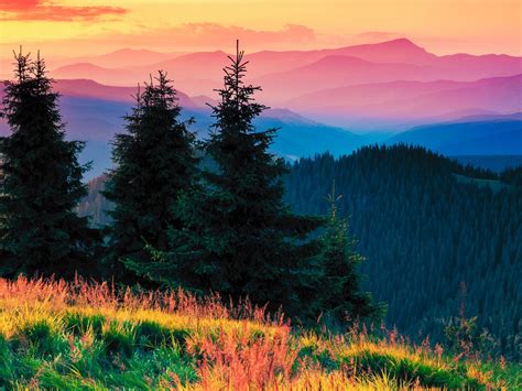 What Are The Different Genres Of Photography Think Adventure