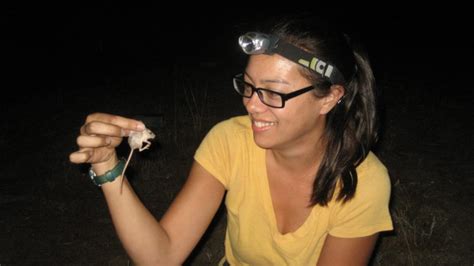 Temporal And Spatial Niche Partitioning In A Small Mammal Community — Institute Of The