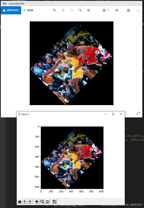 torchvision transforms的使用 torchvision transforms functional perspective