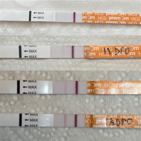 Progression 10dpo 13dpo Premom Brand Hcg Rtfablineporn