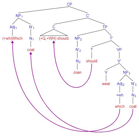 Solved 1 Draw Tree Structures Of The Following Complement Clauses