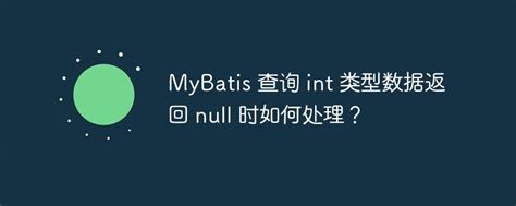 MyBatis 查询 int 类型数据返回 null 时如何处理 美云