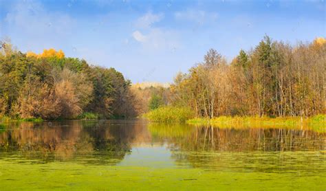 Autimn 对沼泽高清摄影大图 千库网