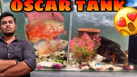 Monster Oscar Fish Tank Cleaning😮day375 Day Vlog Challenge 🤩 Youtube