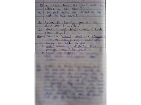 Solution Assignment On The Bird Sanctuary By Sarojini Naidu In Second