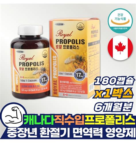 캐나다산 프로폴리스 환절기 항산화 면역력 영양제 6개월분 로얄 플로폴리스 중장년 구강항균 면역력높이는 보조제 티몬