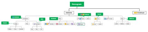 Ecomap Vs Genogram Key Differences Uses And How To Create Them