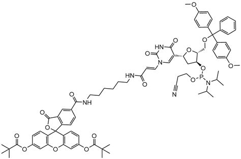 Cas 289712 99 8 Fluorescein 2 Deoxy 5 O Dmt Pseudouridine 3 Ce Phosphoramidite Boc Sciences