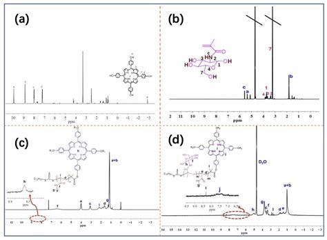 A Star Shaped Copolymer With Tetra Hydroxy Phenylporphyrin Core And Four Pnipam B Pmaga Arms For