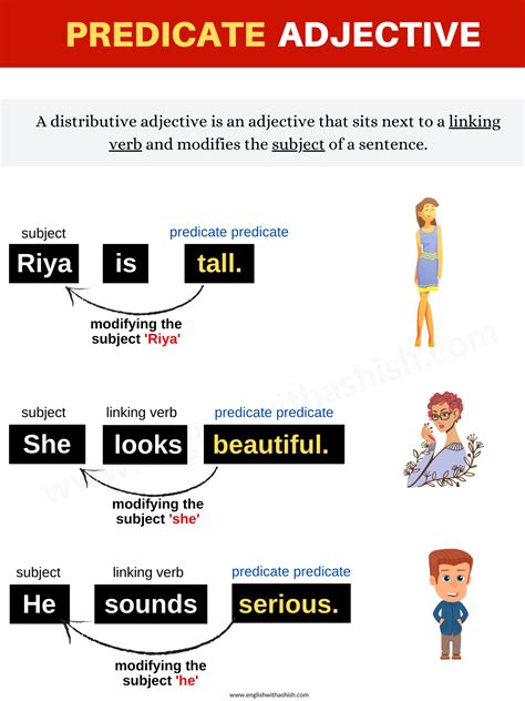 What Is A Predicate Adjective Examples Tips And Exercise