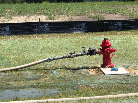 Essential Soil Maintenance Tips Homeowners Should Remember