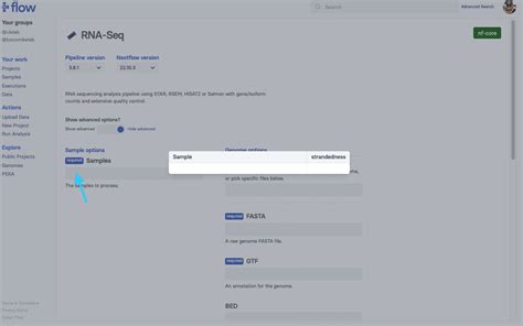 Running Pipelines Docs