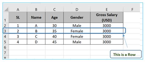 How To Insert Rows In Excel Quick And Efficient Shortcut