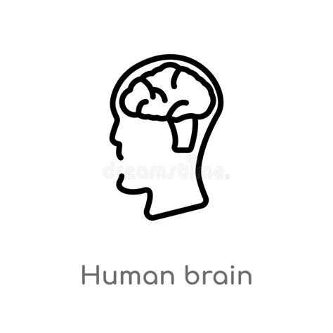 Outline Human Brain Vector Icon Isolated Black Simple Line Element