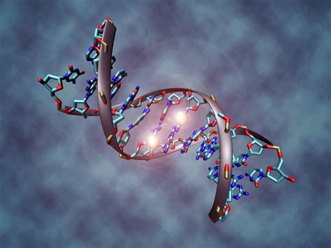 Reading Your Annotated Code Mapping Cytosine Methylation With Nanopore