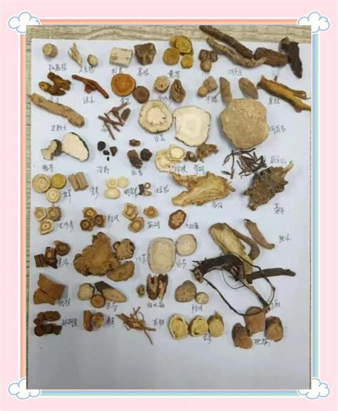 📚中药速记口诀大集合！