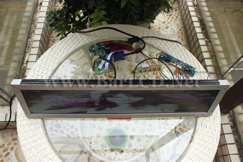 Cinema 4d Splines Primitives To Polygons St Anselms English