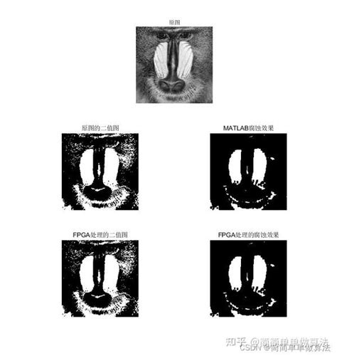 基于fpga的图像形态学腐蚀算法实现包括tb测试文件和matlab辅助验证 知乎