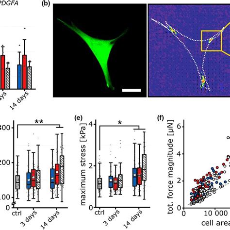 Cellular Senescence Increases Single Cell Forces A Gene Expression