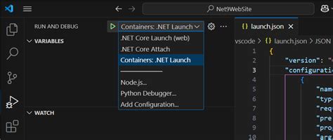 在容器中托管 Aspnet Core Vscode 编辑器