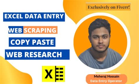 do data entry excel scraping typing copy paste work by meheraj0685