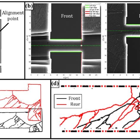 Alignment Of Rear To Front Reference Datasets Illustrated For Specimen Download Scientific