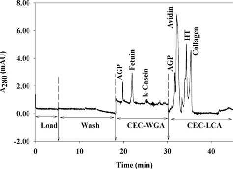 Figure 1 From Development Of Monolithic Column Materials For The Separation Development Of