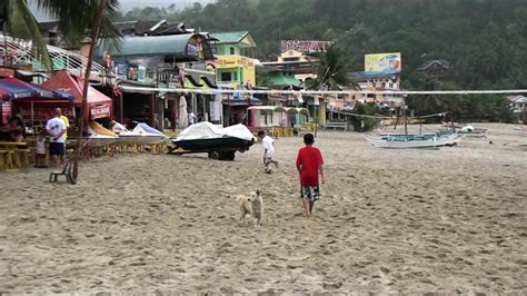 Buck Wild Shows White Beach Puerto Galera Philippines Eporner
