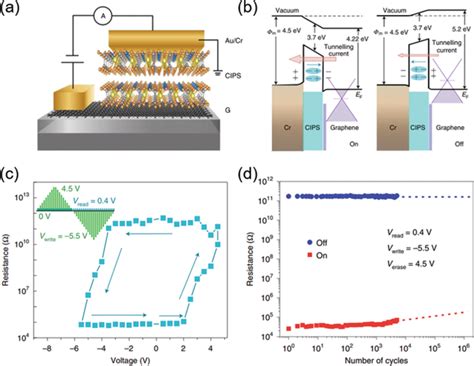 2d Ferroelectric Random‐access Memory A Schematic Of Vdw Download Scientific Diagram