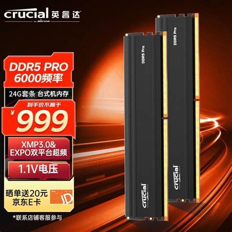 【手慢无】内存大升级！crucial Pro系列 Ddr5 6000mhz 内存低至978元 家电导购 中关村在线