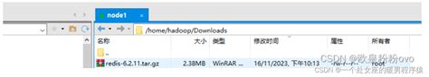 Linux安装redis教程(超级详细,新手必看) Csdn博客 Linux安装redis教程(超级详细,新手必看) Csdn博客