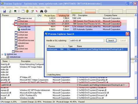 Practical Malware Analysis Basic Dynamic Techniques Lab03 Baotd