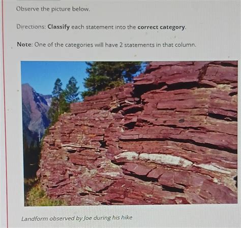 Solved Observe The Picture Below Directions Classify Each