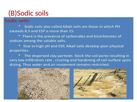 Problem Soil Pptpptxbshhhwjwhwhhqjlkwkwjj Pptx