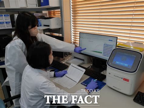 대전서 올해 첫 인플루엔자바이러스 검출 전국 기사 더팩트