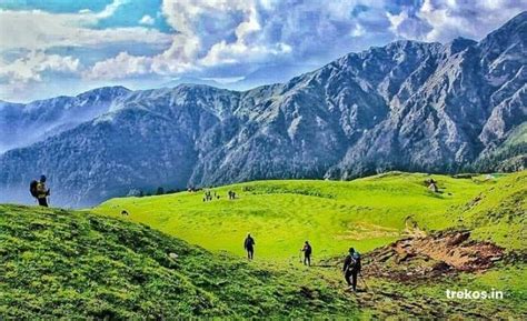 Ali Bedni Bugyal Trek Best Monsoon Trek In Uttarakhand