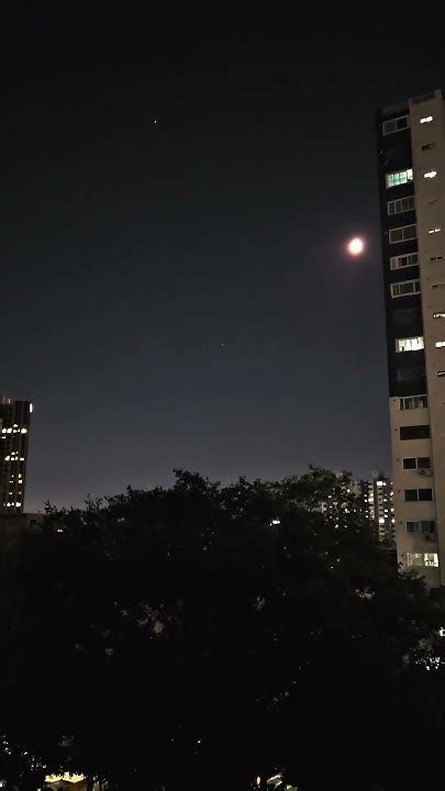 문득 베란다문을 열어보니 🤩👌😁👍 Youtube