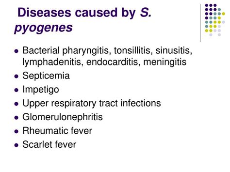 Ppt Streptococcus Pyogenes Powerpoint Presentation Id146838