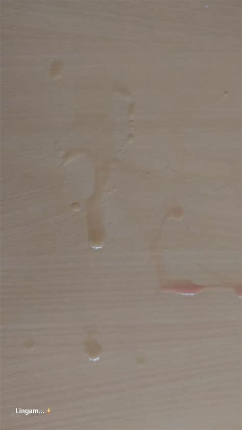 Yolo Floor Detection Object Detection Dataset And Pre Trained Model By Yolo