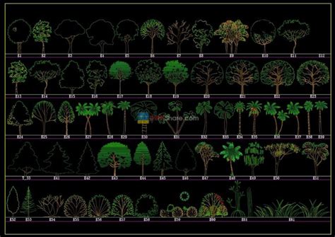 Trees In Elevation 3 Autocad Blocks Free Download Autocad Trees To Plant Tree