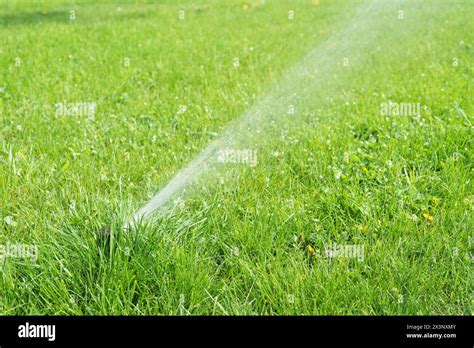 Automatic Smart Lawn Sprinkler Watering Green Lawn Grass In Sunny Day