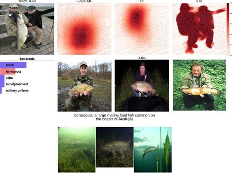 Figure 1 From The Effectiveness Of Feature Attribution Methods And Its