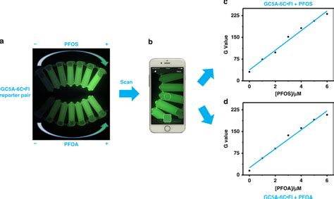 Real Time On Site Scanometric Monitoring Of Pfos And Pfoa A The Images Download Scientific